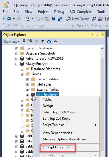 [EF6] Entity Framework 6 連接 SQL Server 2016 Always Encrypted | 余小章 @ 大內 ...