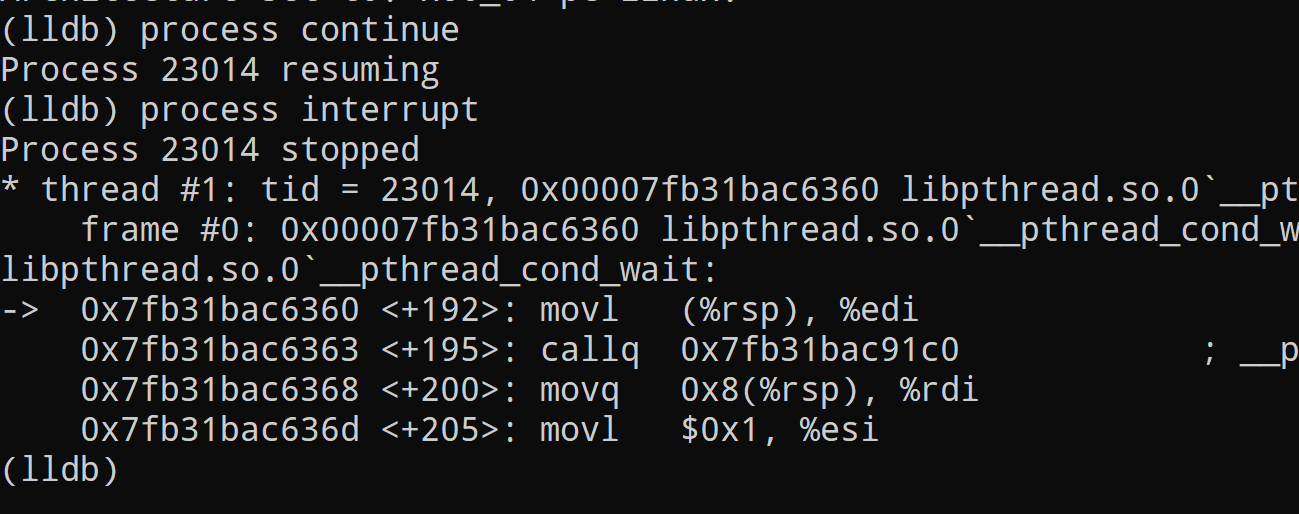 使用 Lldb 來診斷 Net Core 應用程式 艾瑞克的 Playground 點部落