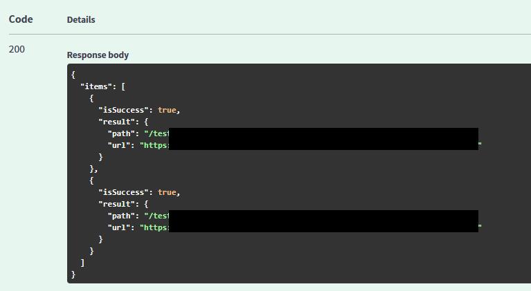 C System Text Json Serialization Null 